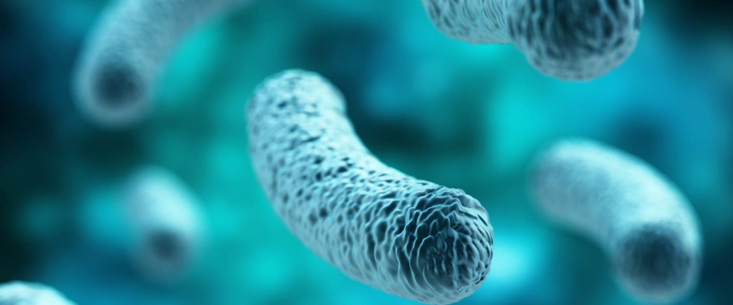 Probiotic strains for food & beverages - Probi