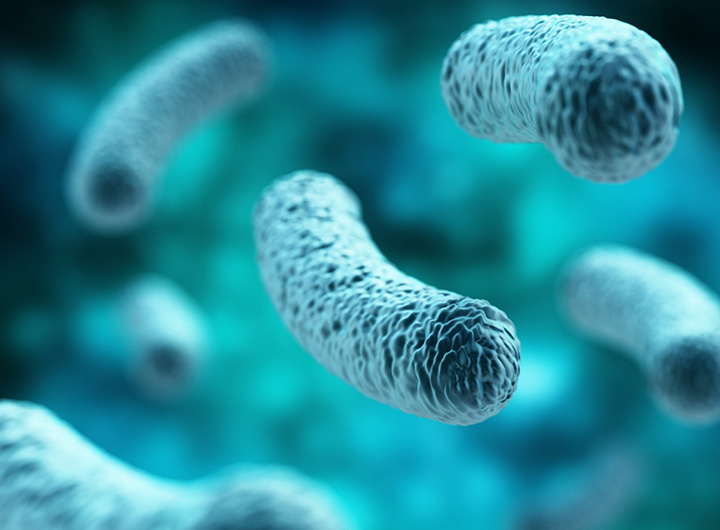 Probiotic solutions for dietary supplements and food & beverages