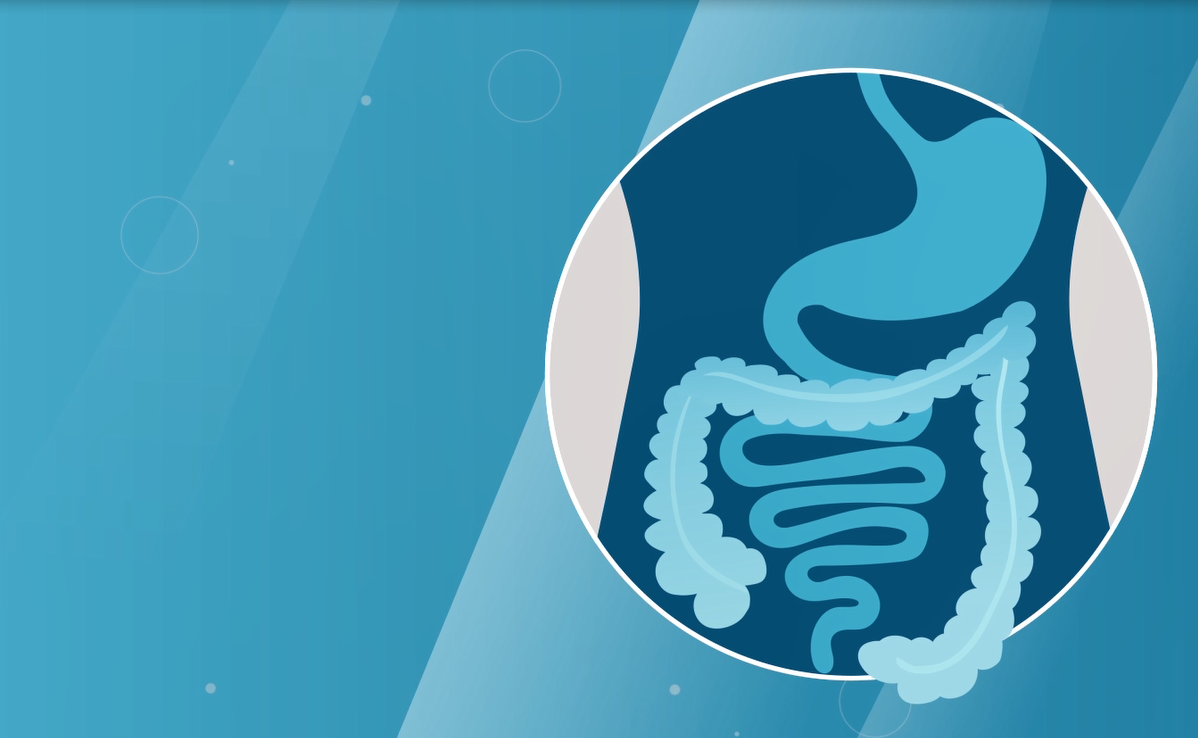 Four vital functions of the gut microbiota - Probi